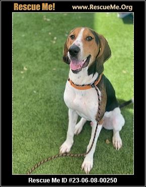 - Utah Dog Rescue - ADOPTIONS - Rescue Me!