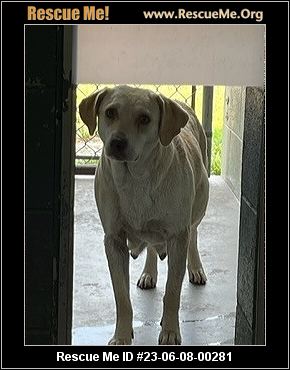 - Oklahoma Dog Rescue - ADOPTIONS - Rescue Me!