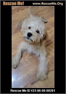 - Wisconsin Dog Rescue - ADOPTIONS - Rescue Me!