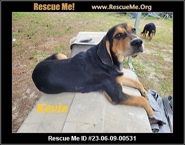 - South Carolina Dog Rescue - ADOPTIONS - Rescue Me!