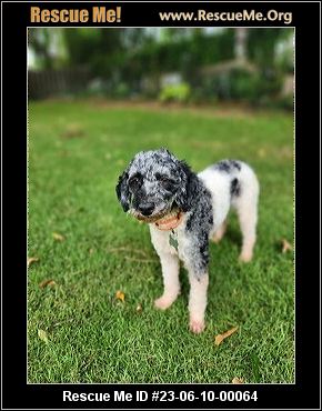 - South Carolina Dog Rescue - ADOPTIONS - Rescue Me!