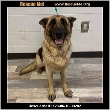 - Pennsylvania German Shepherd Rescue - ADOPTIONS - Rescue Me!