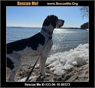- Wisconsin Dog Rescue - ADOPTIONS - Rescue Me!