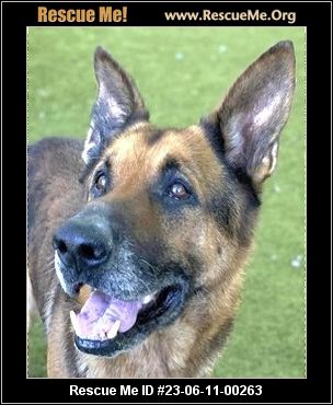 - Minnesota Dog Rescue - ADOPTIONS - Rescue Me!