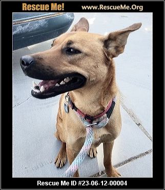 - Oregon Dog Rescue - ADOPTIONS - Rescue Me!