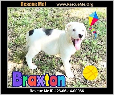 - Oklahoma Dog Rescue - ADOPTIONS - Rescue Me!