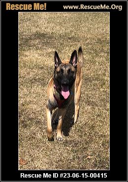 - Alaska Dog Rescue - ADOPTIONS - Rescue Me!