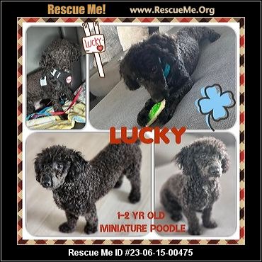 - Kansas Dog Rescue - ADOPTIONS - Rescue Me!