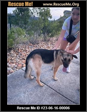 - Texas German Shepherd Rescue - ADOPTIONS - Rescue Me!