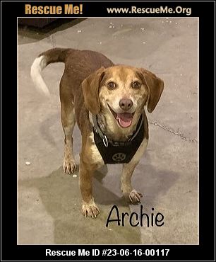 - Minnesota Dog Rescue - ADOPTIONS - Rescue Me!