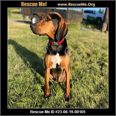 - Oregon Dog Rescue - ADOPTIONS - Rescue Me!