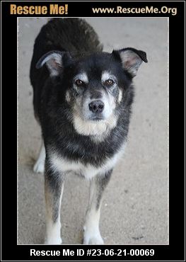 - Indiana Dog Rescue - ADOPTIONS - Rescue Me!