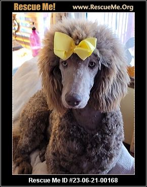 - Kansas Dog Rescue - ADOPTIONS - Rescue Me!