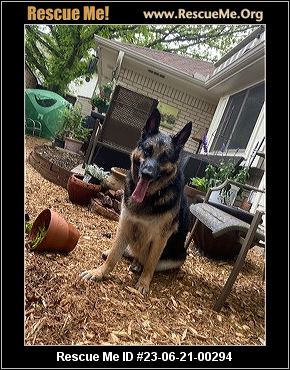 - Texas German Shepherd Rescue - ADOPTIONS - Rescue Me!