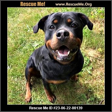 - Oregon Rottweiler Rescue - ADOPTIONS - Rescue Me!