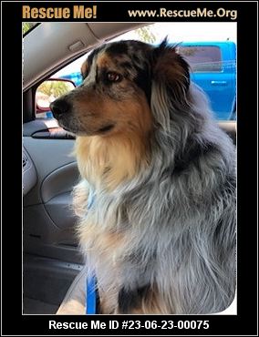 - Nebraska Dog Rescue - ADOPTIONS - Rescue Me!