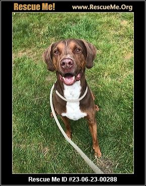 - Oregon Dog Rescue - ADOPTIONS - Rescue Me!