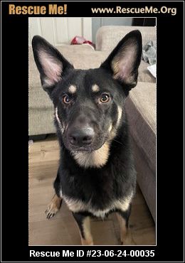 - Oregon Dog Rescue - ADOPTIONS - Rescue Me!