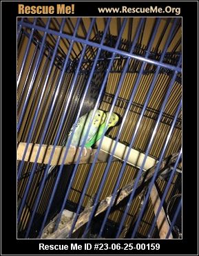 - Washington Pet Bird Rescue - ADOPTIONS - Rescue Me!