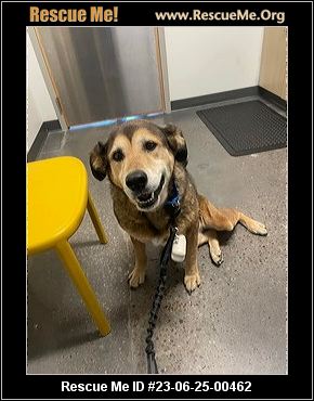 - Minnesota Dog Rescue - ADOPTIONS - Rescue Me!