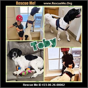 - South Carolina Dog Rescue - ADOPTIONS - Rescue Me!