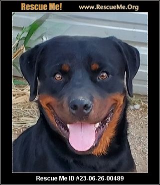 - California Rottweiler Rescue - ADOPTIONS - Rescue Me!