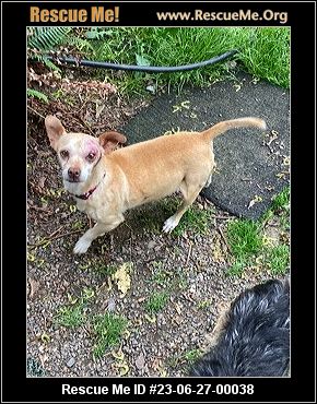 - Oregon Dog Rescue - ADOPTIONS - Rescue Me!