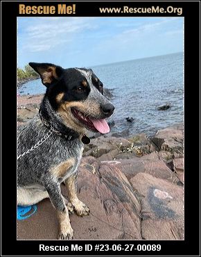 - Wisconsin Dog Rescue - ADOPTIONS - Rescue Me!