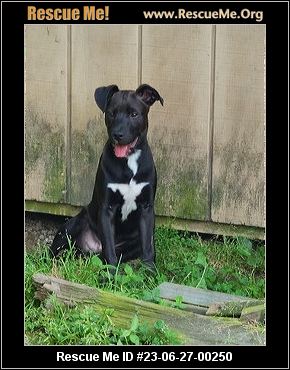 - Maryland Dog Rescue - ADOPTIONS - Rescue Me!