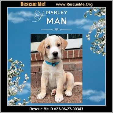 - Maryland Dog Rescue - ADOPTIONS - Rescue Me!