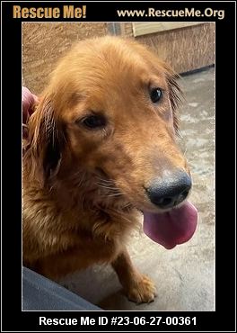 - West Virginia Dog Rescue - ADOPTIONS - Rescue Me!