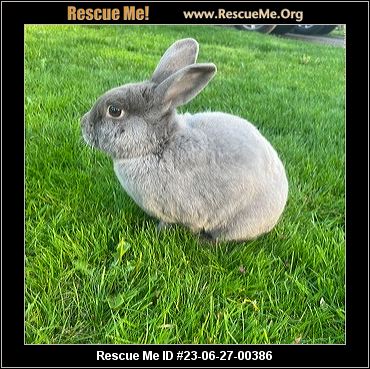 - Oregon Rabbit Rescue - ADOPTIONS - Rescue Me!