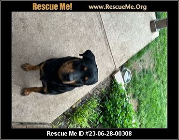 - Texas Rottweiler Rescue - ADOPTIONS - Rescue Me!