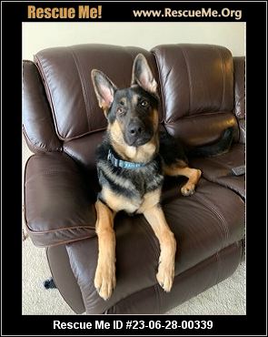 - Pennsylvania German Shepherd Rescue - ADOPTIONS - Rescue Me!