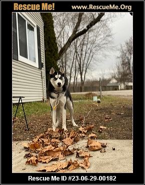 - Ohio Siberian Husky Rescue - ADOPTIONS - Rescue Me!