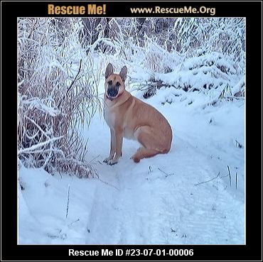 - Alaska Dog Rescue - ADOPTIONS - Rescue Me!