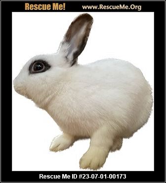 - Virginia Rabbit Rescue - ADOPTIONS - Rescue Me!