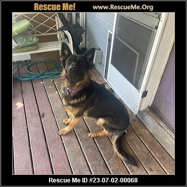 - Oregon Dog Rescue - ADOPTIONS - Rescue Me!