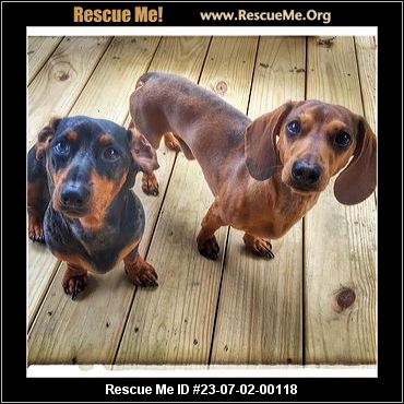 - West Virginia Dog Rescue - ADOPTIONS - Rescue Me!