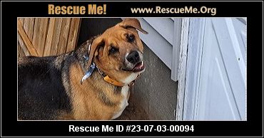 - Rhode Island Dog Rescue - ADOPTIONS - Rescue Me!