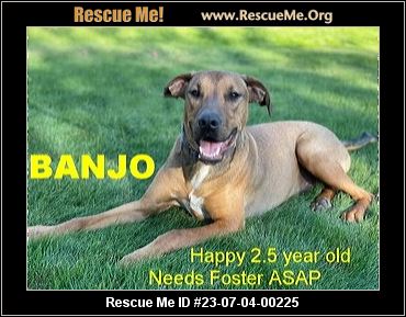 - Idaho Dog Rescue - ADOPTIONS - Rescue Me!