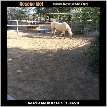 - California Horse Rescue - ADOPTIONS - Rescue Me!