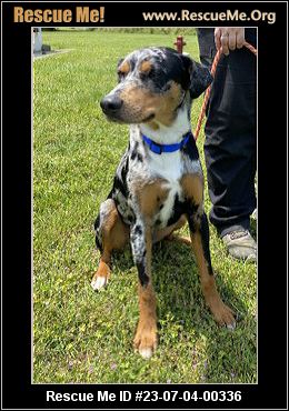 - Maryland Dog Rescue - ADOPTIONS - Rescue Me!