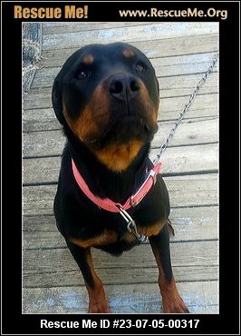 - Virginia Rottweiler Rescue - ADOPTIONS - Rescue Me!