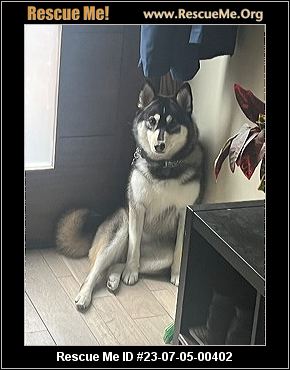 - Pennsylvania Pomeranian Rescue - ADOPTIONS - Rescue Me!