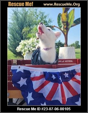 - Wisconsin Dog Rescue - ADOPTIONS - Rescue Me!