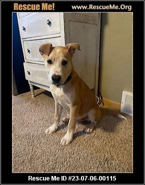- Wisconsin Dog Rescue - ADOPTIONS - Rescue Me!