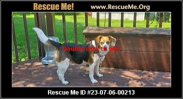 - New York Dog Rescue - ADOPTIONS - Rescue Me!