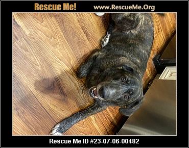 - Utah Dog Rescue - ADOPTIONS - Rescue Me!
