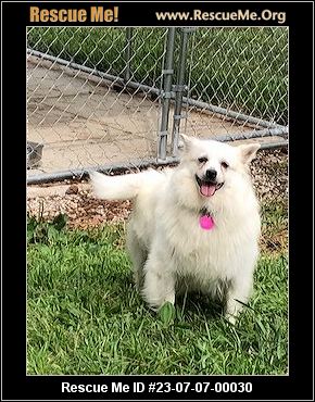 - Nebraska Dog Rescue - ADOPTIONS - Rescue Me!